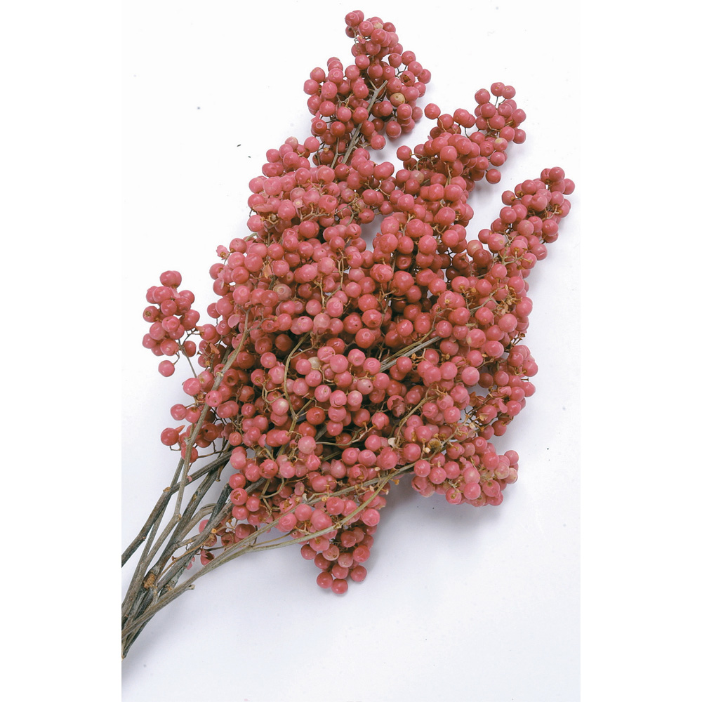 Pepperberry Bunch - Pink. (abt. 50g Bunch)