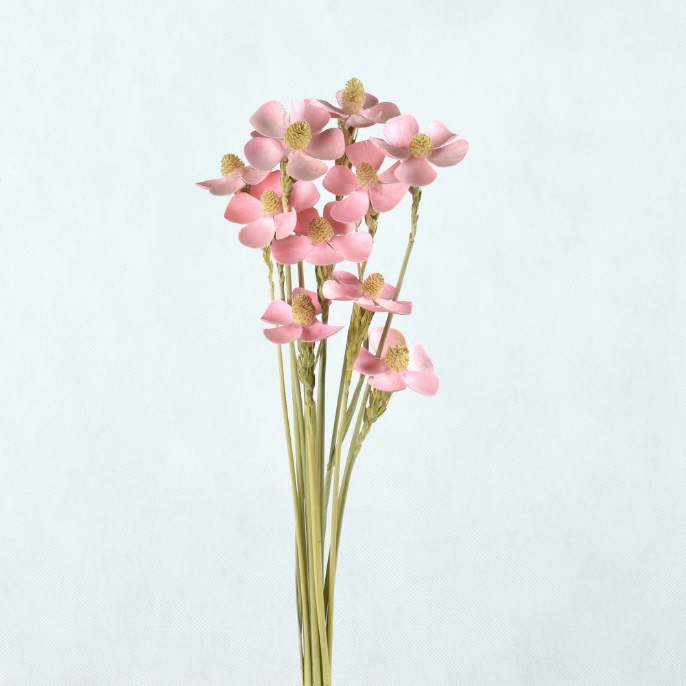 (China) Oxalis Wood Flower with Stem - (Pink) - 4cmØ x 10 stems