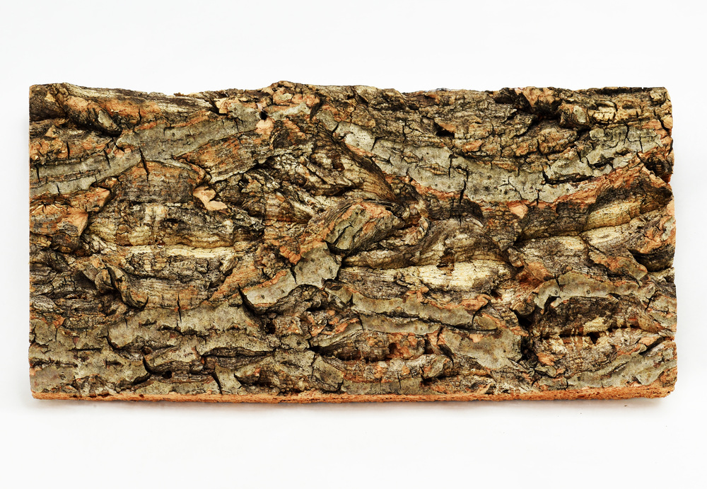 Natural Tree Bark - 10x20cm x 2 pcs pack. (Treated)